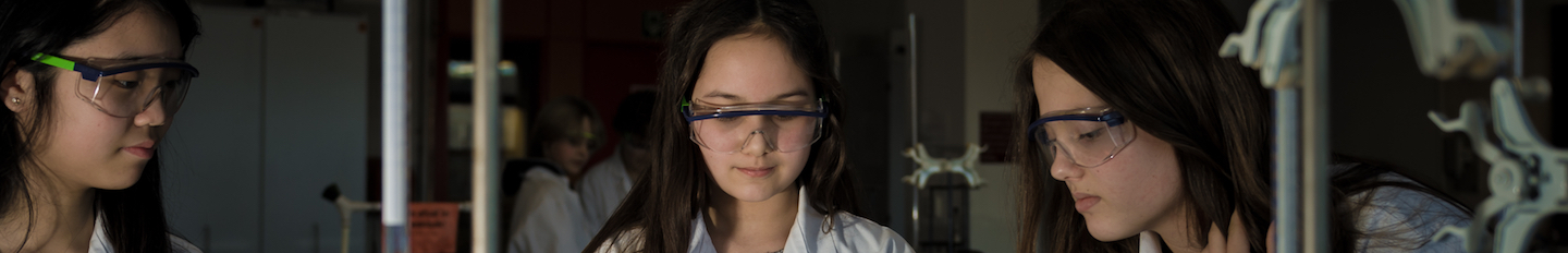 Schoolinfo - Wolfert College