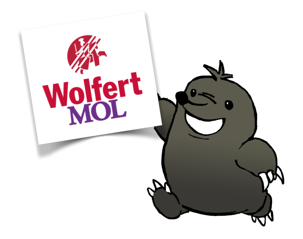 Mentorbegeleiding - Wolfert Lansing