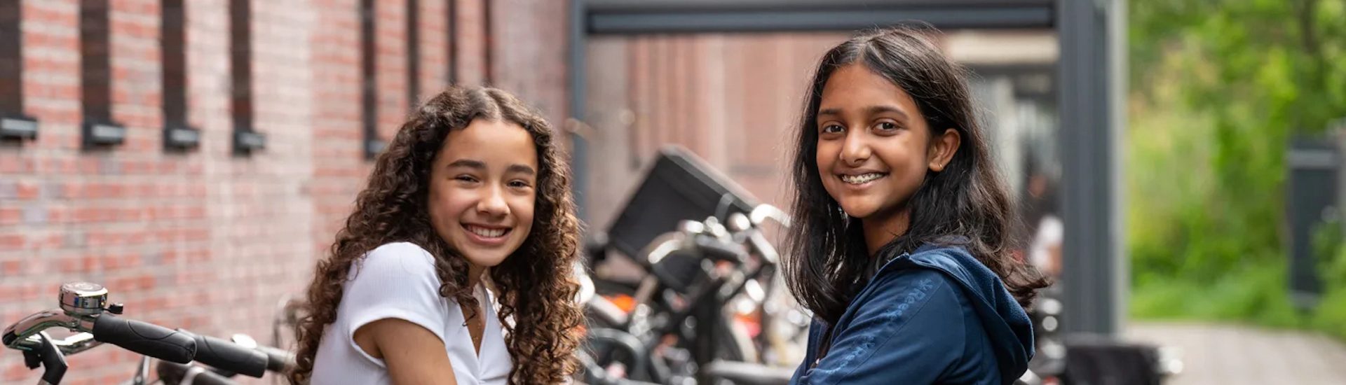 RISS - Wolfert van Borselen